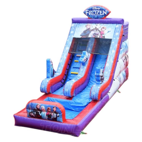 frozen water slide for sale