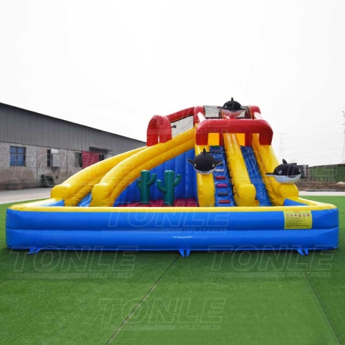 ocean theme playland with pool for sale